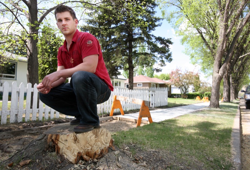 Man says city should have done more to save tree – Brandon Sun