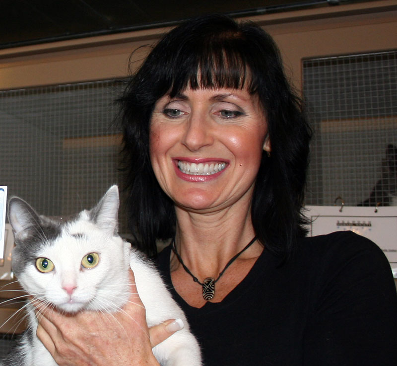 Humane Society wages never-ending battle to find good homes for dogs ...