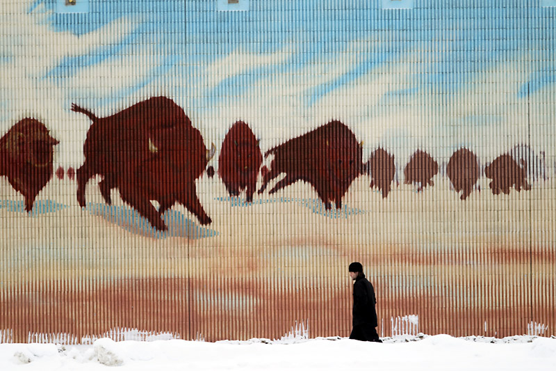 Bison mural to stay, Superstore rep says – Brandon Sun