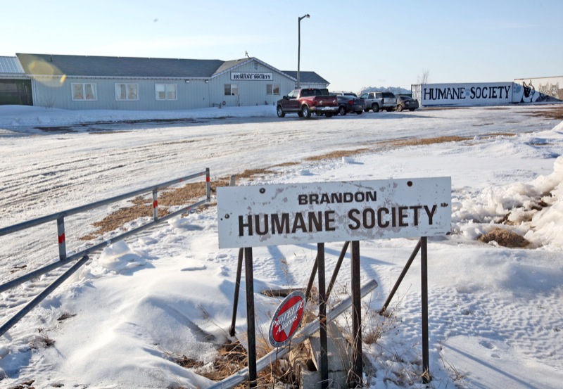 Humane society plans new building – Brandon Sun