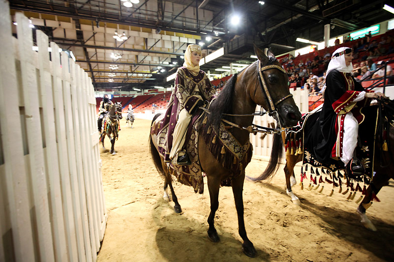 Arabian horse show coming back for three more years – Brandon Sun