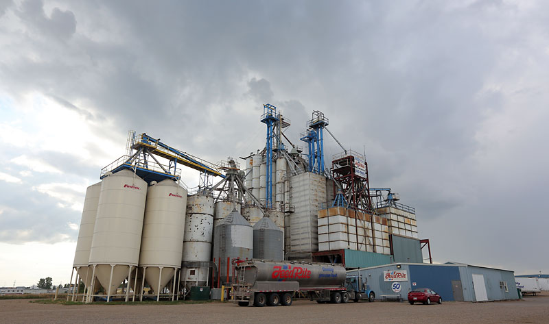 Feed-Rite plans $2.1-million renovation project – Brandon Sun
