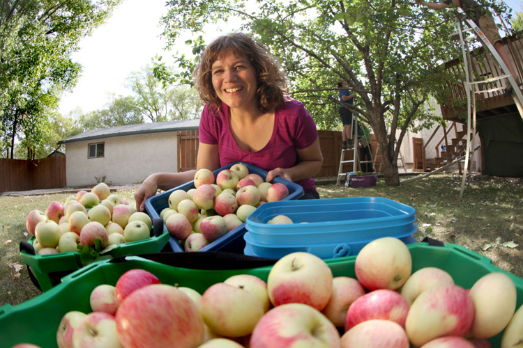 Solution for surplus produce – Brandon Sun