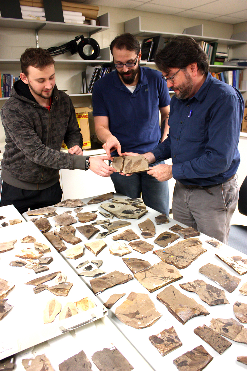 Researchers help uncover more lush prehistoric Earth – Brandon Sun