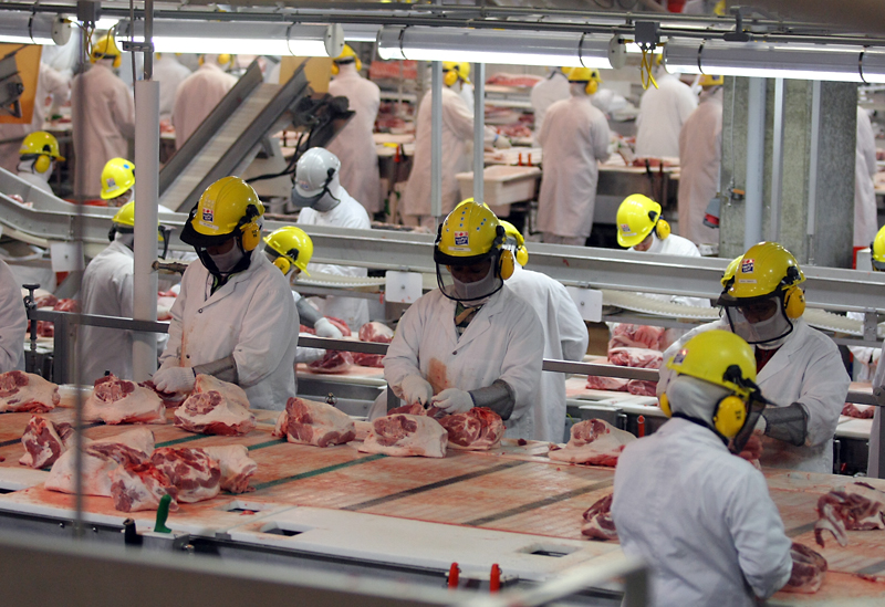 New five-year contract for local Maple Leaf workers – Brandon Sun