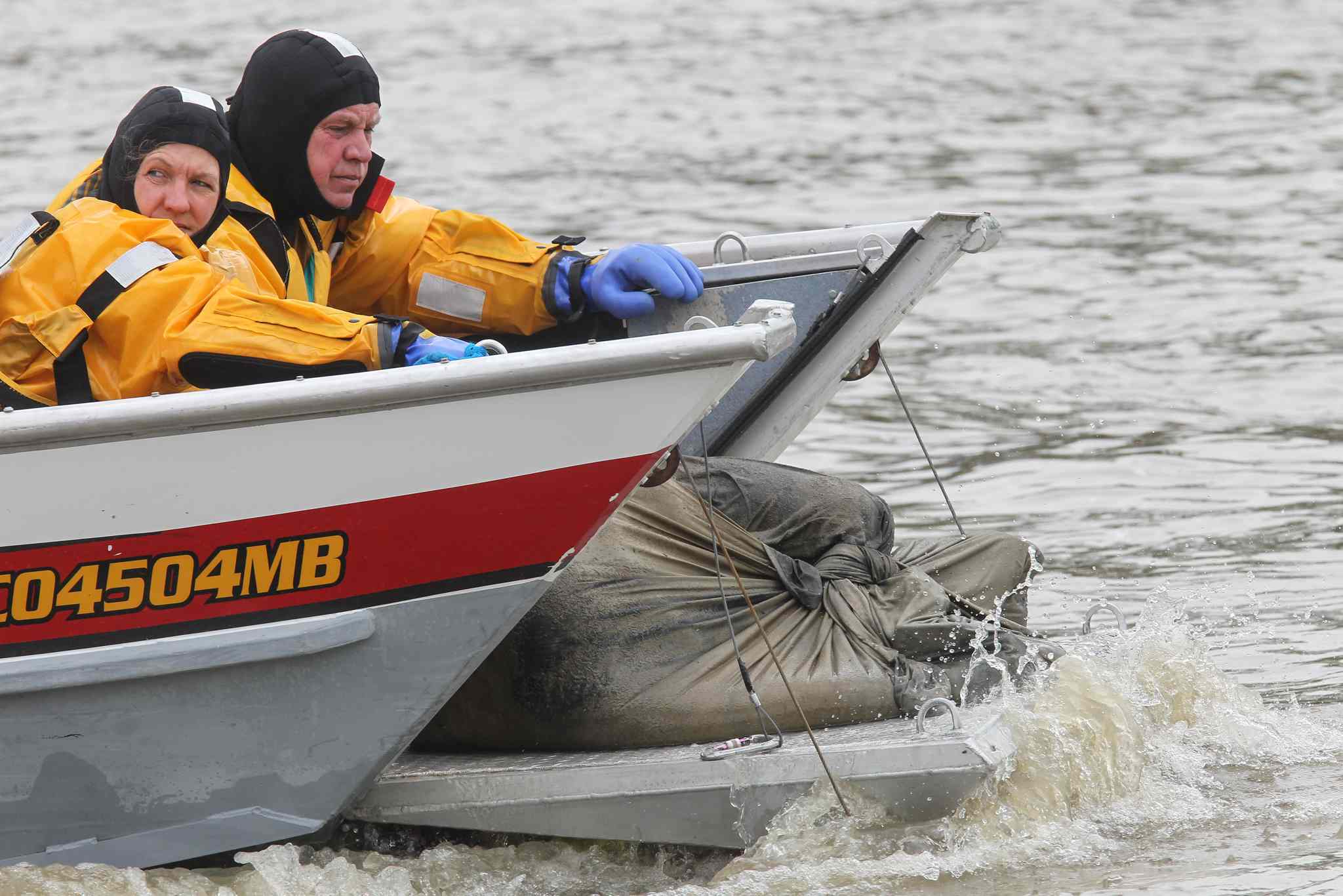 Body in river brings surprise – Brandon Sun