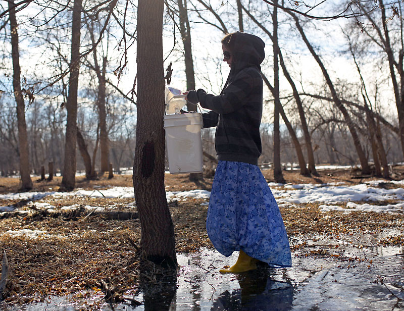 Brandon weather: Chilly Wednesday morning, temperature to plunge ...