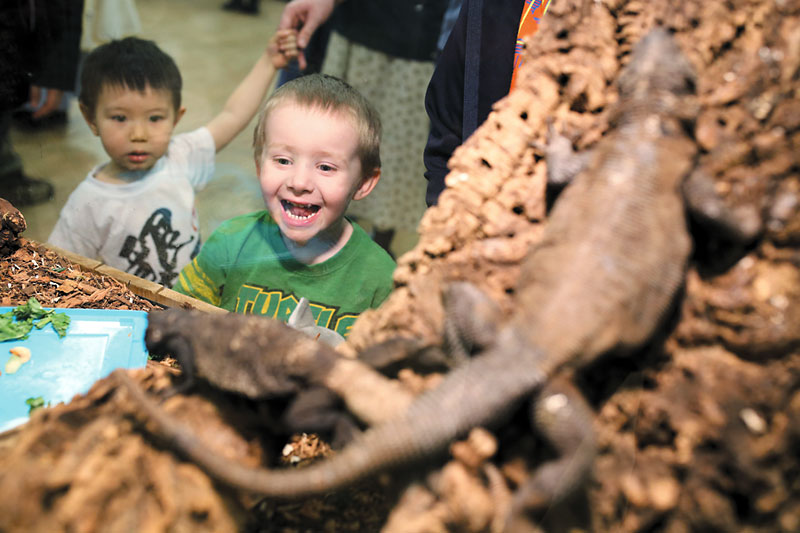 Creepy crawlers, exotic animals thrill families at Wildlife Festival ...