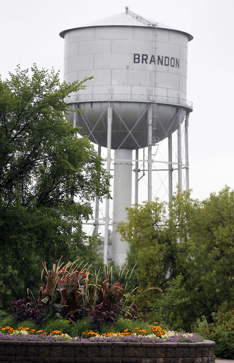 Assessment to determine future of water tower – Brandon Sun
