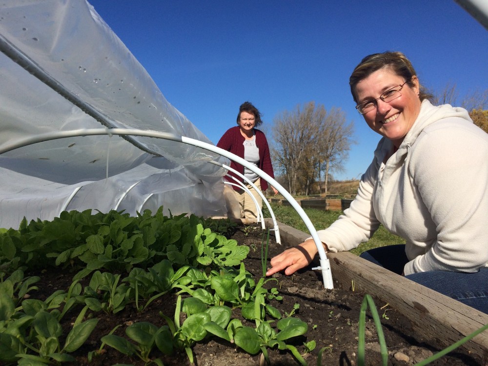 ACC students extend growing season – Brandon Sun