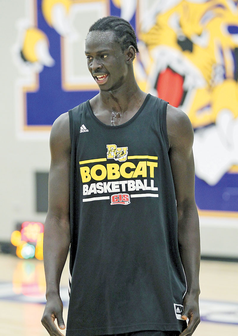 Bobcats seek quick start – Brandon Sun