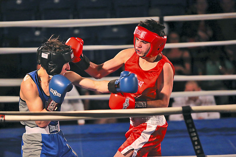 Enns wins boxing debut – Brandon Sun