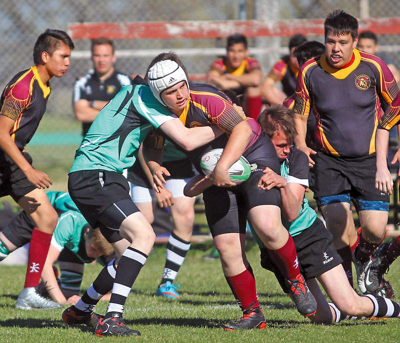 Crocus eyes provincial crown – Brandon Sun