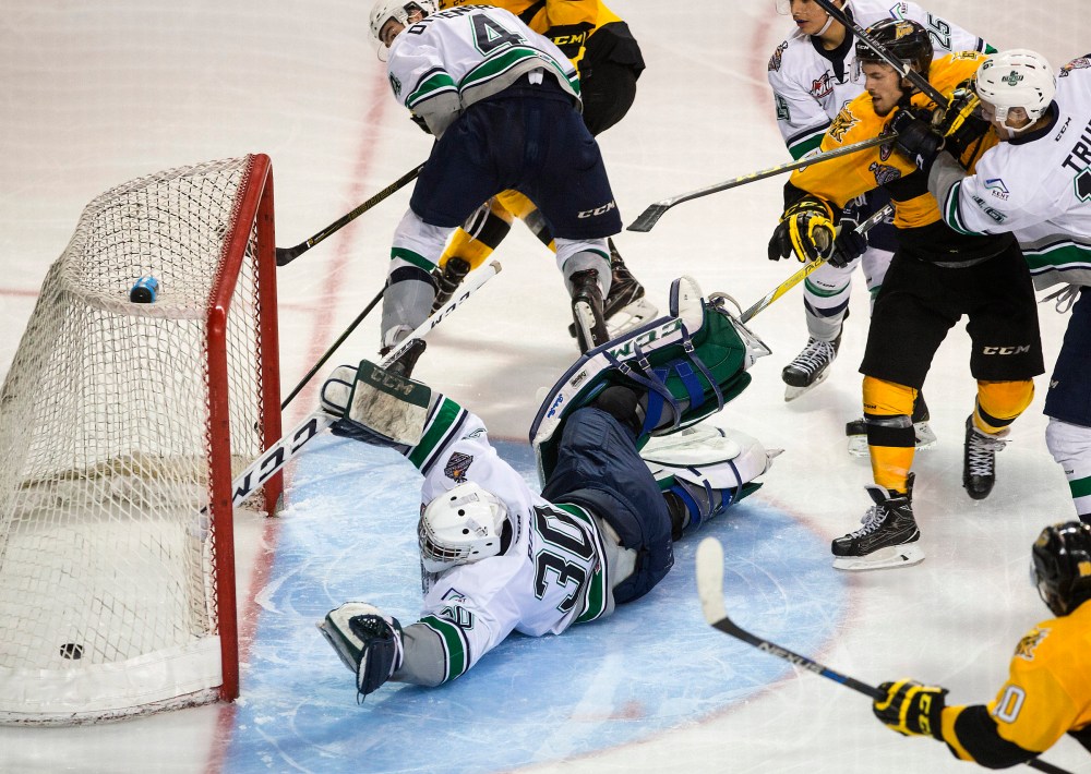 Wheat Kings back on top of WHL – Brandon Sun