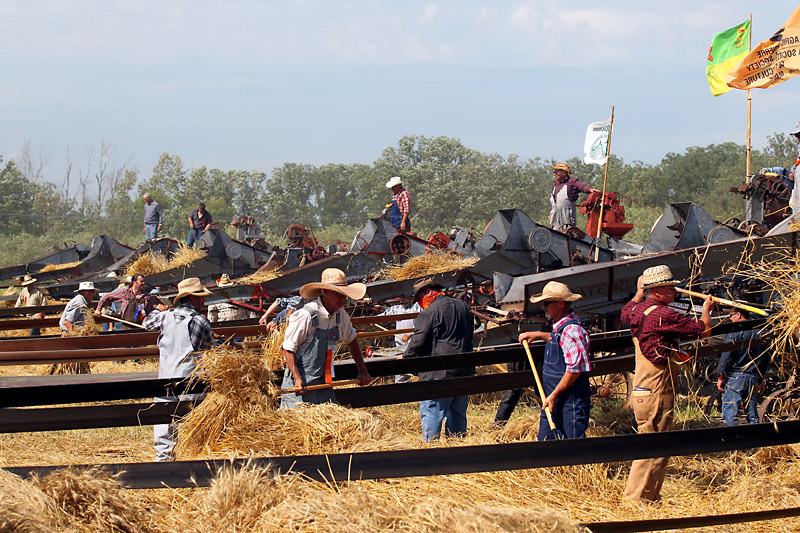 World threshing record set in Austin – Brandon Sun