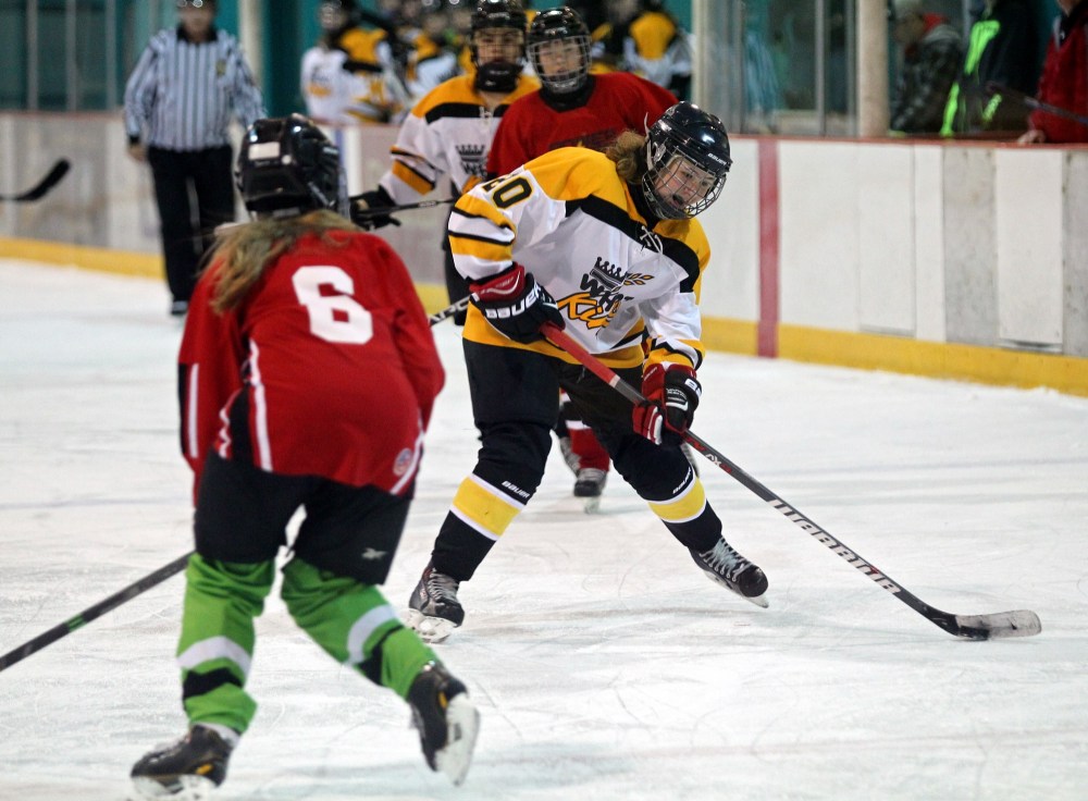 Female hockey continuing to grow and thrive in Brandon – Brandon Sun