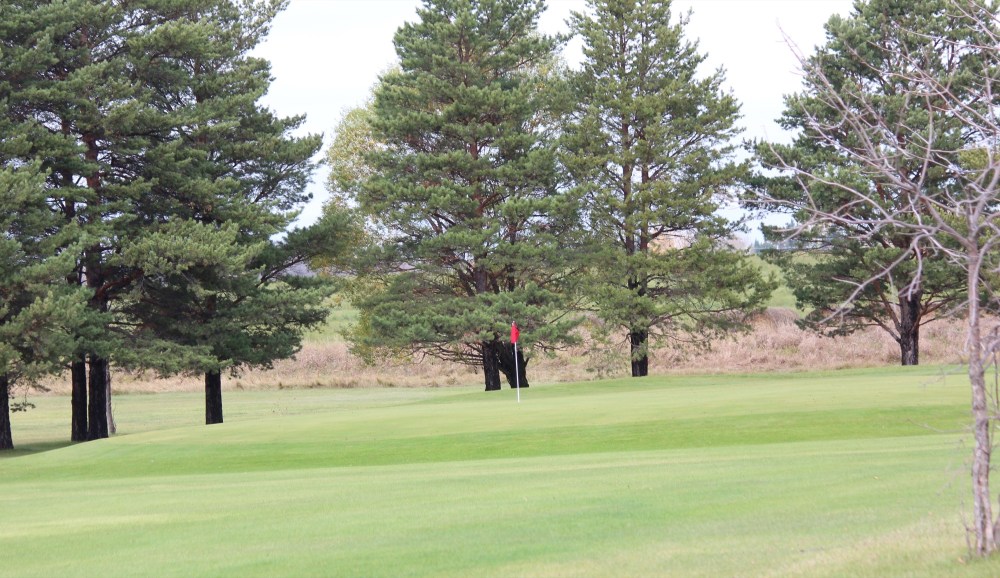 OUT OF BOUNDS: Northern Pines deceptively tough – Brandon Sun