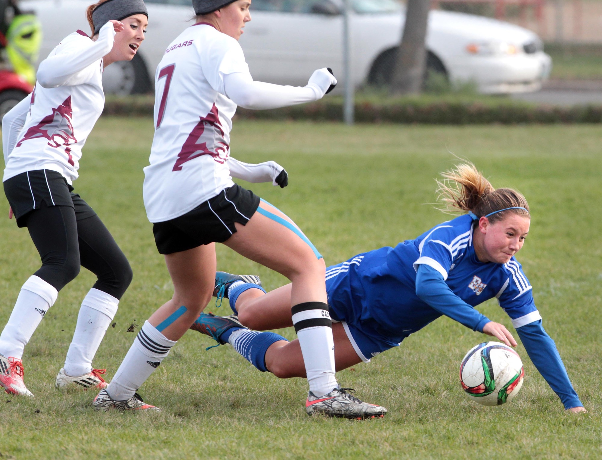 Bobcats clinch playoff spot – Brandon Sun