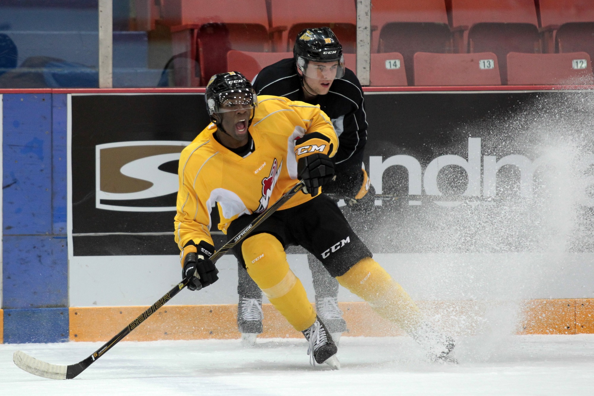 Daley thrilled to wear Maple Leaf – Brandon Sun