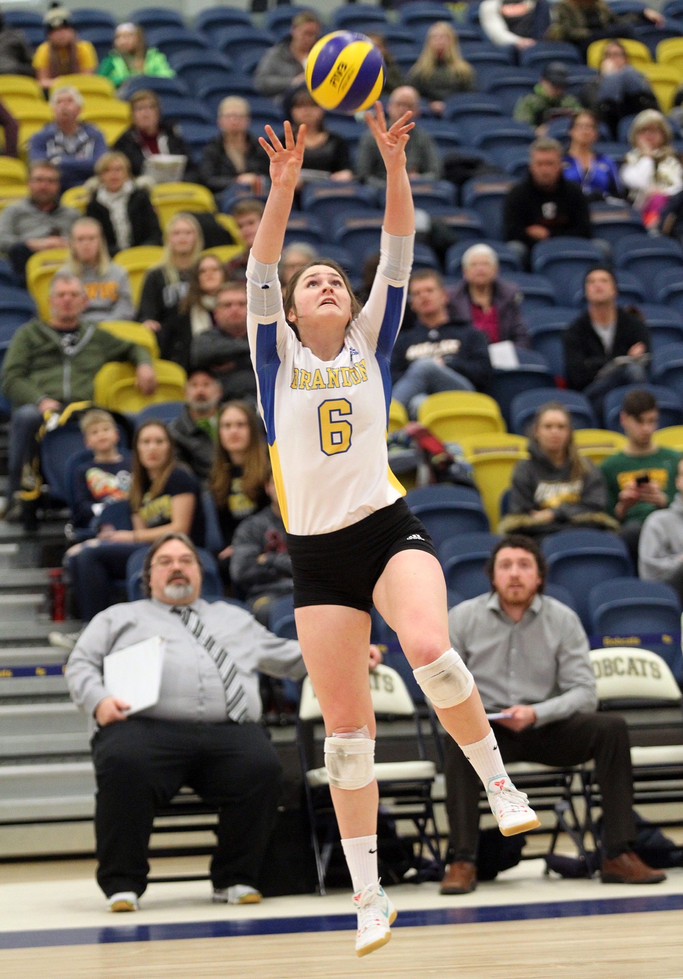 Leech wants storybook ending – Brandon Sun