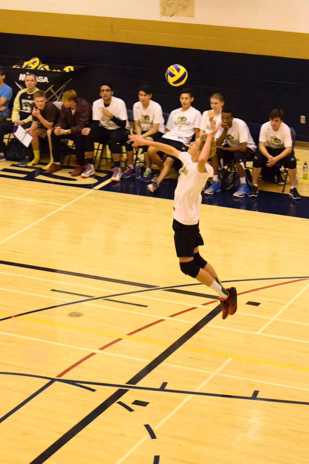 Tolley picks BU volleyball court over hockey in SJHL – Brandon Sun