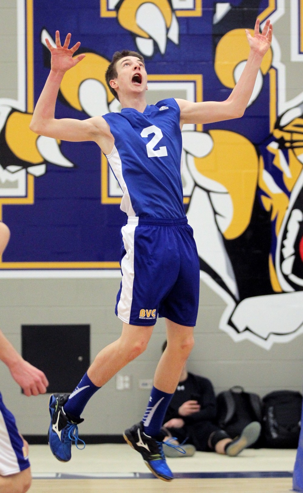 BVC hopeful at westerns – Brandon Sun