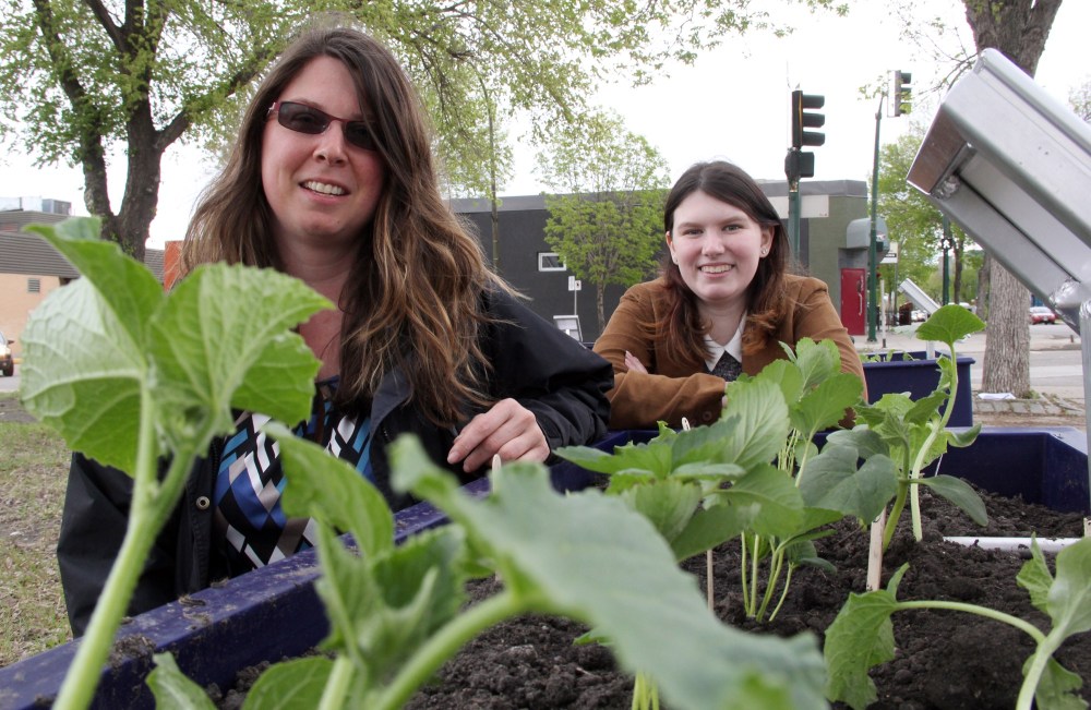 Enthusiasm growing for Incredible Edible Brandon gardening project ...