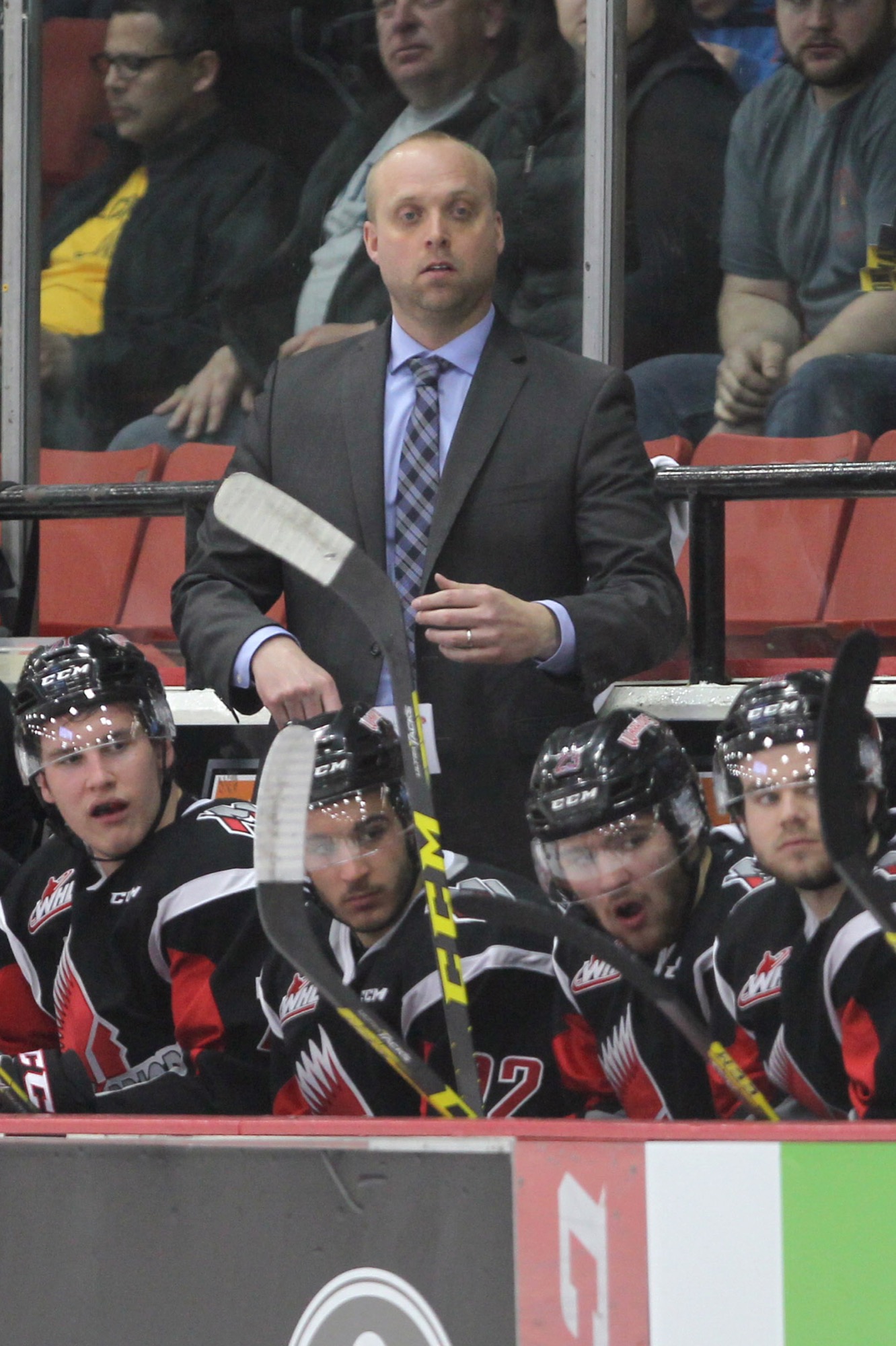 Hodson coming home to Oil Caps – Brandon Sun