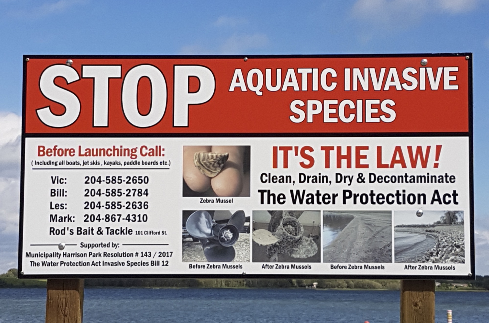 Cottage owners combat zebra mussels – Brandon Sun