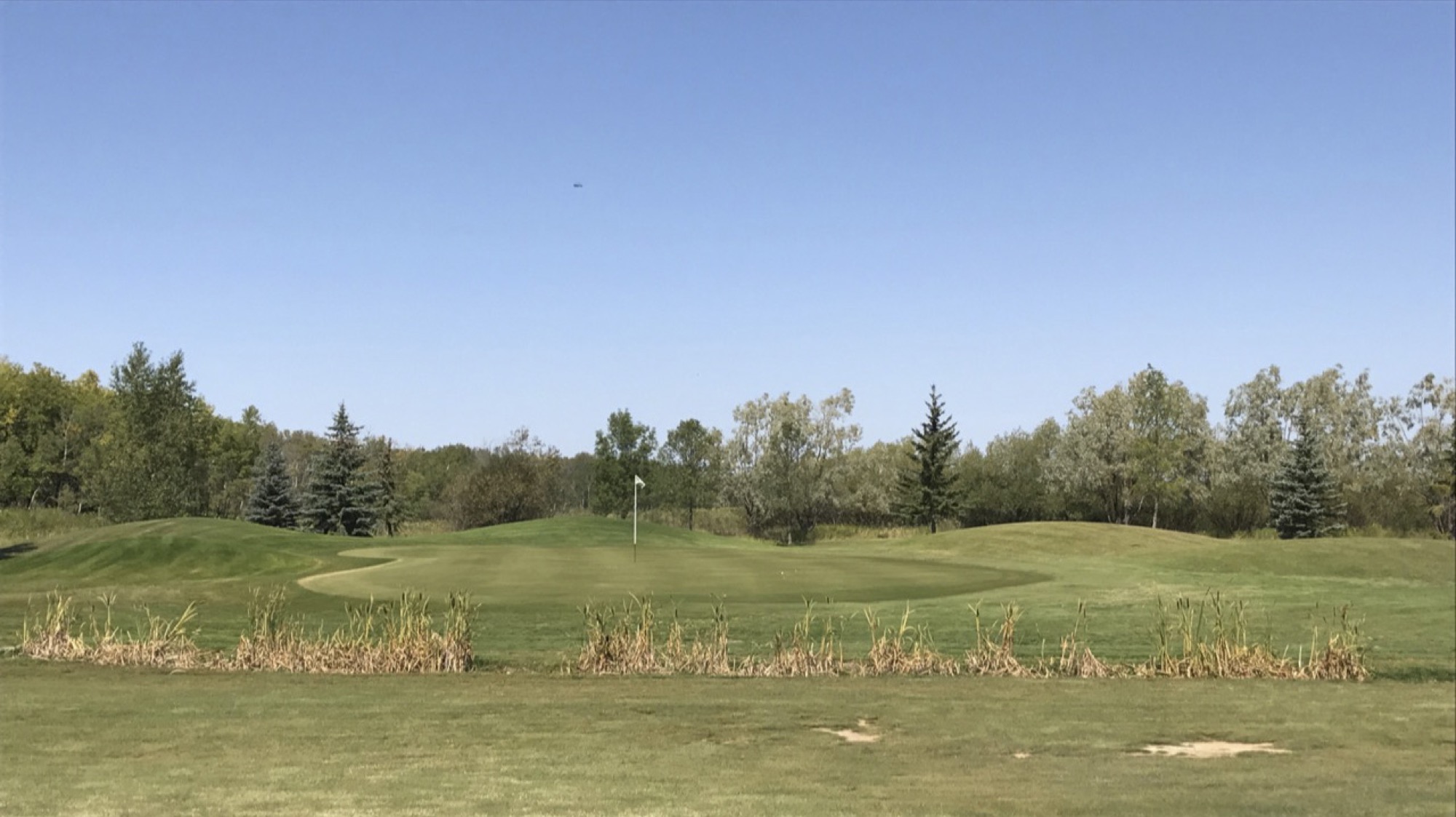 OUT OF BOUNDS: Approach shots key at Russell – Brandon Sun