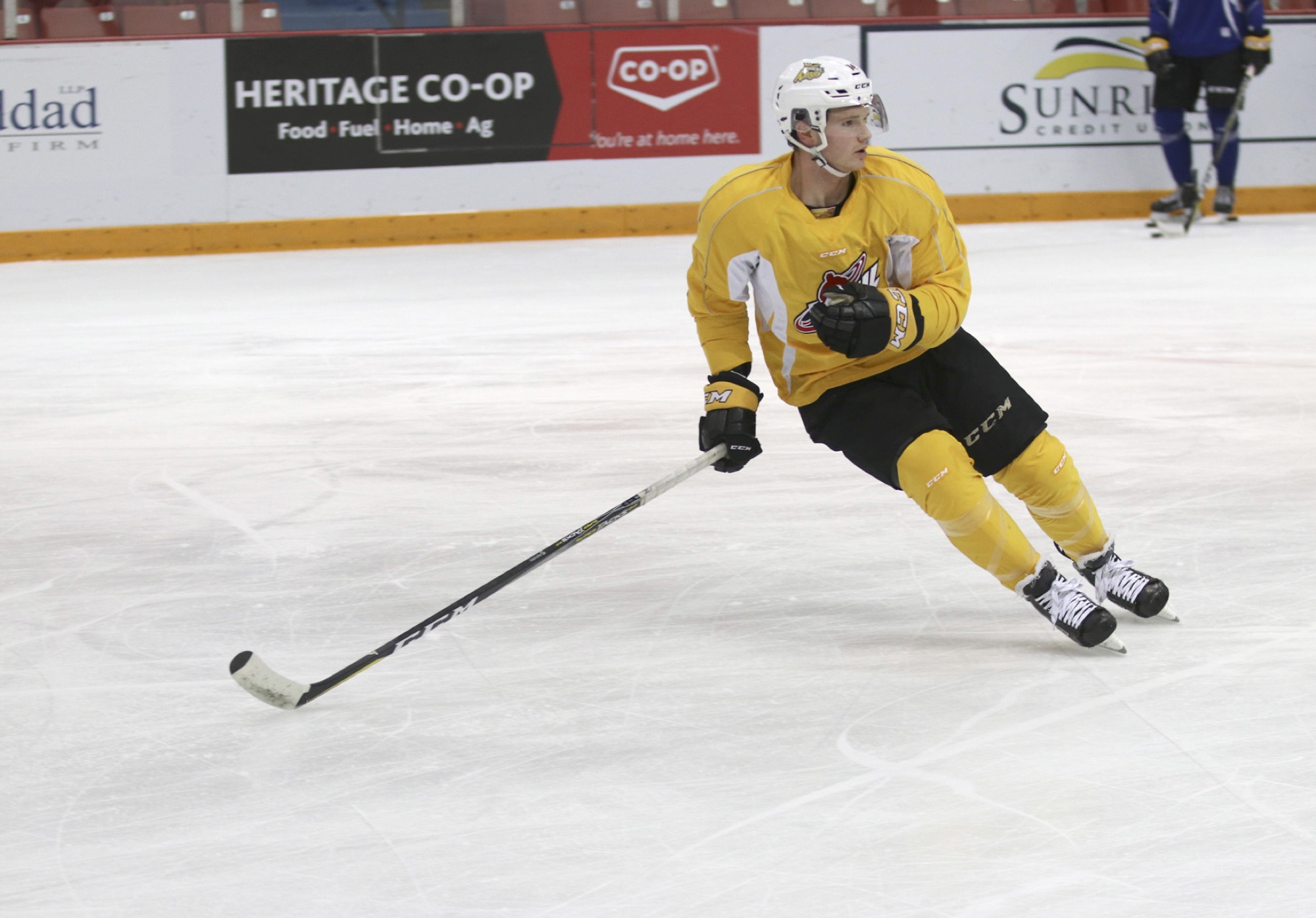 Wheat Kings trio will join Team WHL – Brandon Sun