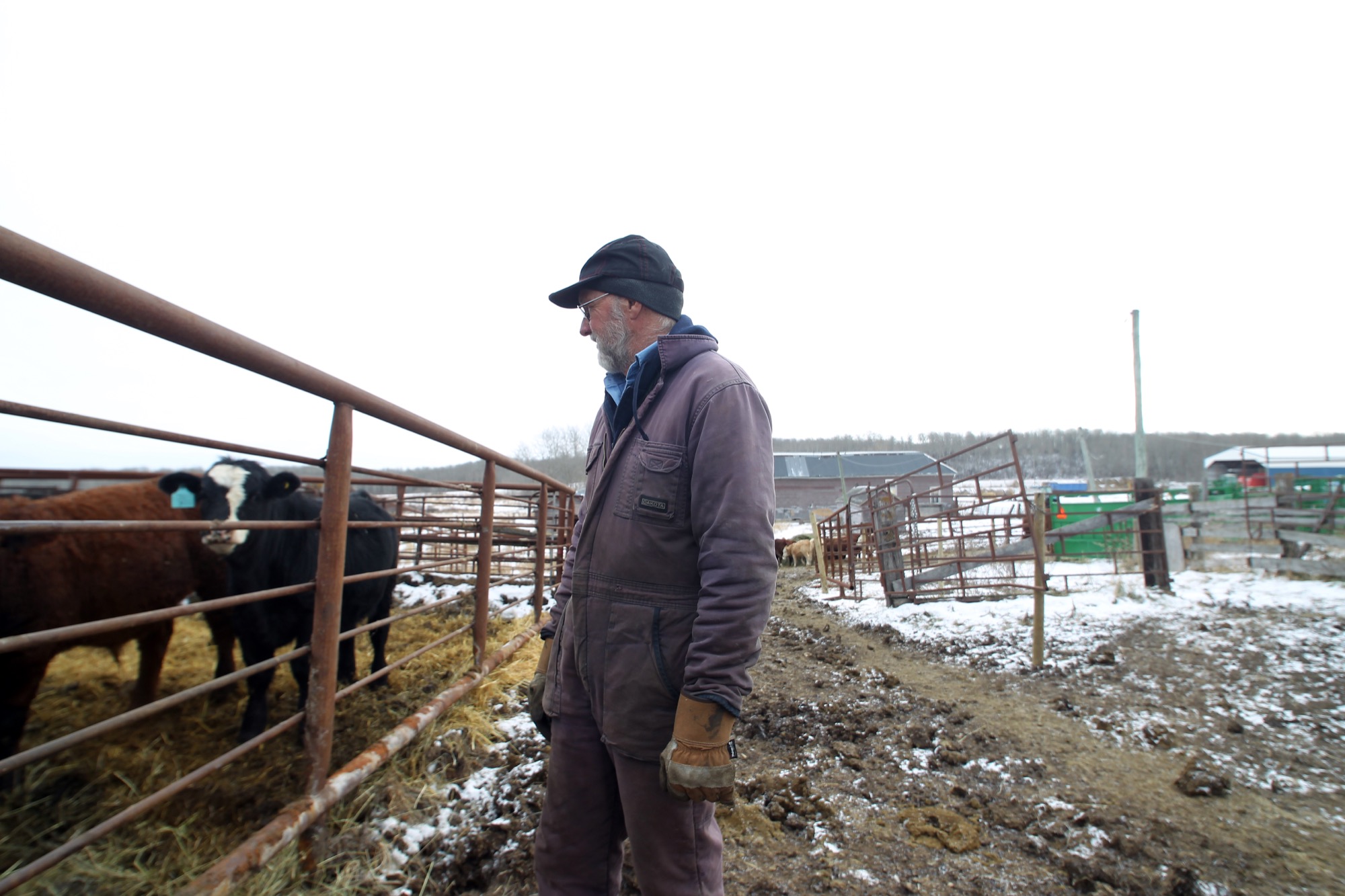 Farm attack survivor from South Africa finds new life in Erickson ...