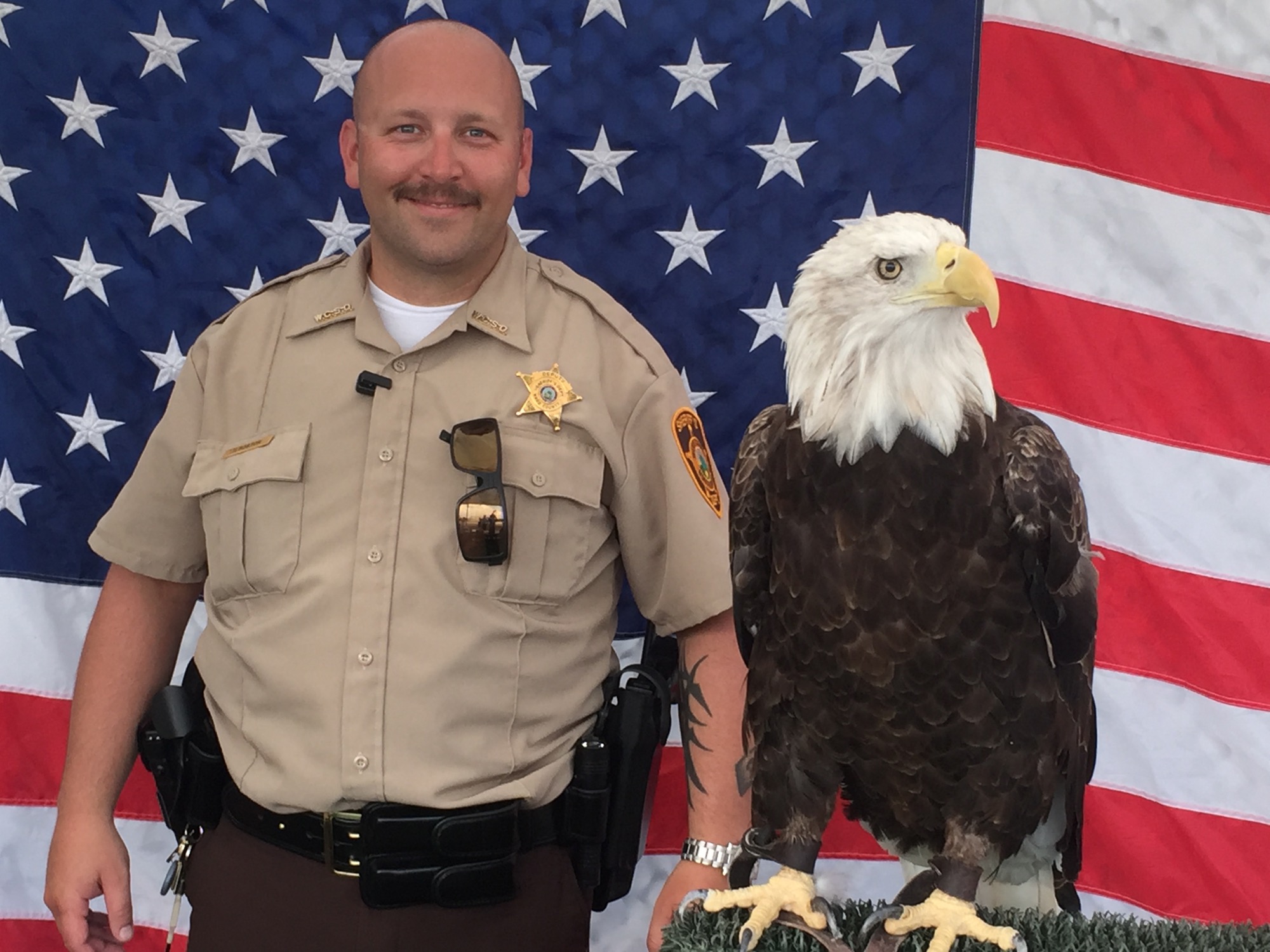 Minot sheriff’s deputy told to remove poppy – Brandon Sun