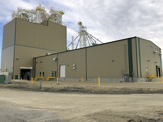 HyLife expanding Neepawa, Killarney operations – Brandon Sun