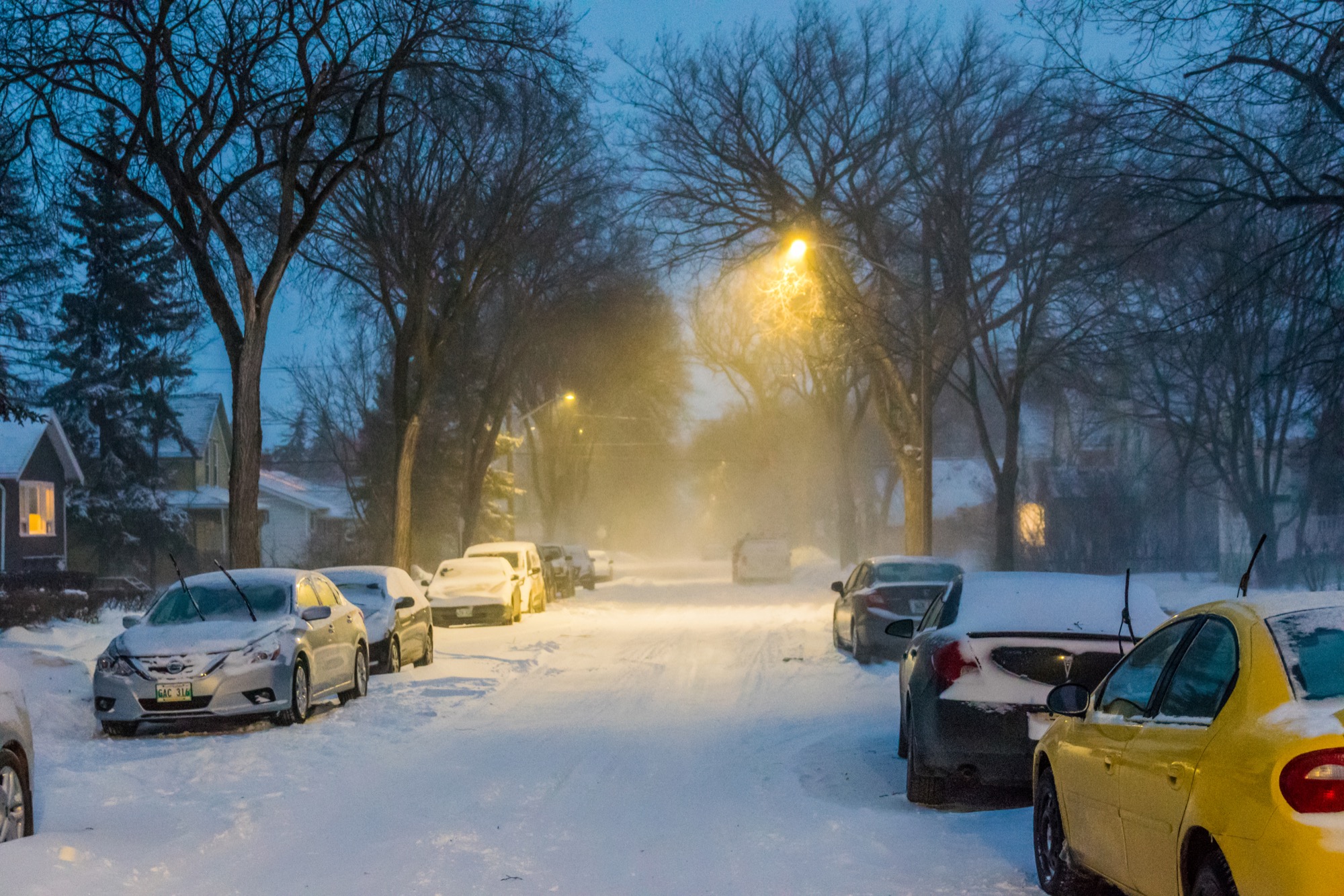 Of snow, kindness and Northern Lights: A Costa Rican in Brandon ...