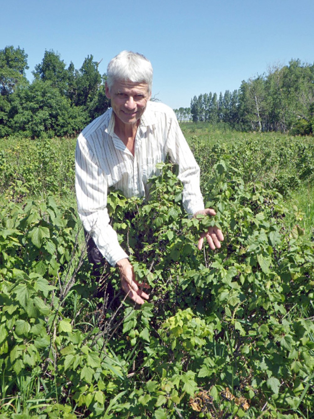 MLCC reclassifications can create headaches for Rigby Orchards winery ...