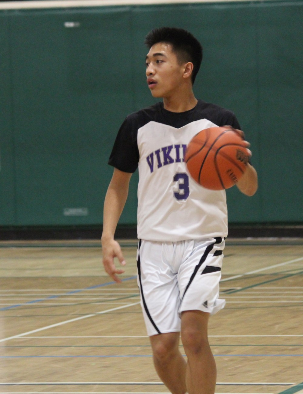 Vikings take Tier 2 crown – Brandon Sun