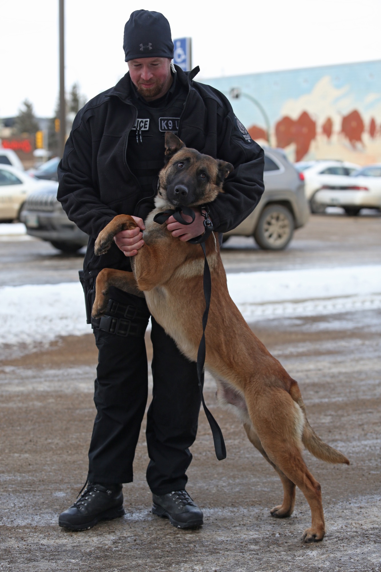 Storm’s coming: Newest member of Brandon police K9 unit ready to hit ...