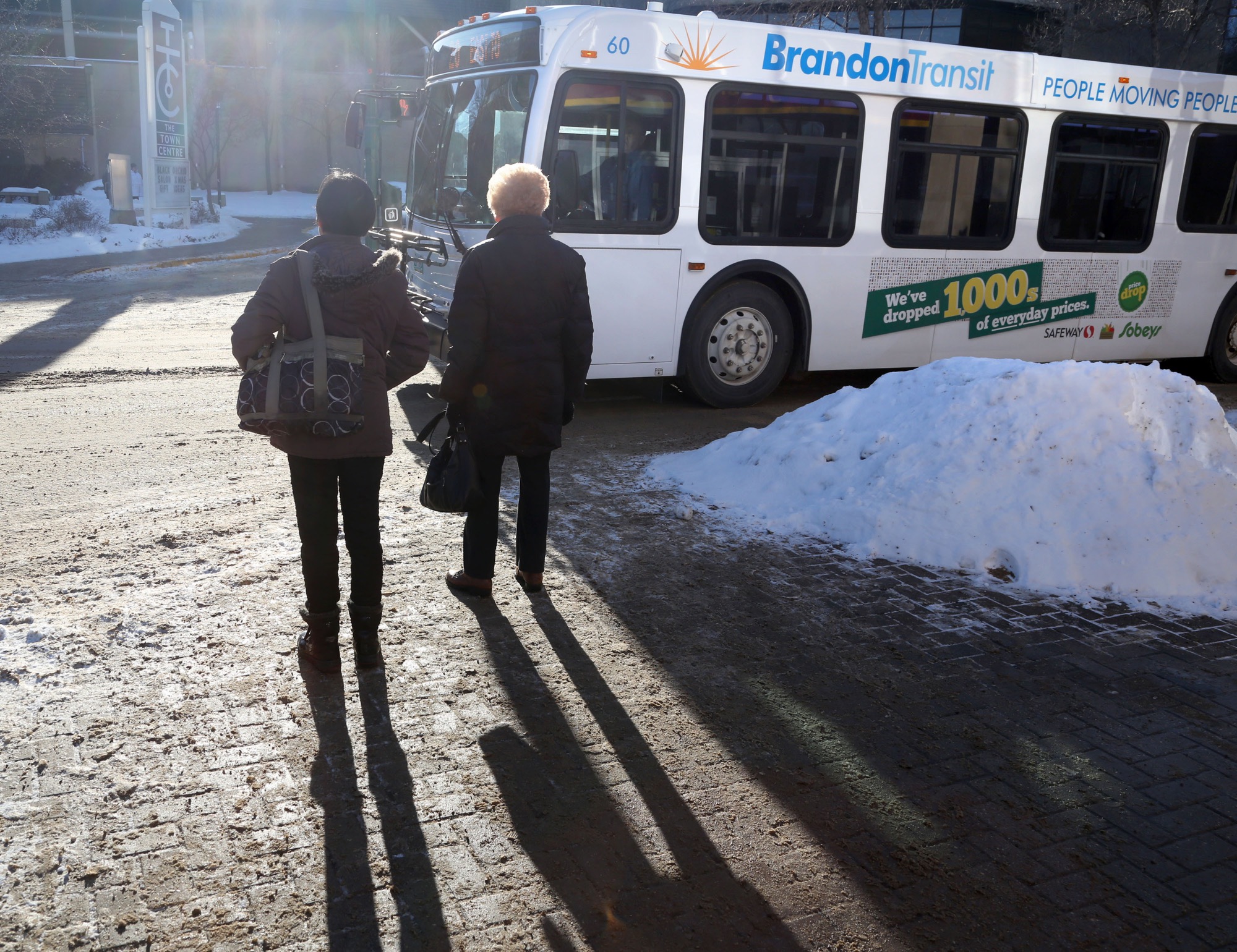 Brandon Transit ridership down 15 per cent since 2015 – Brandon Sun