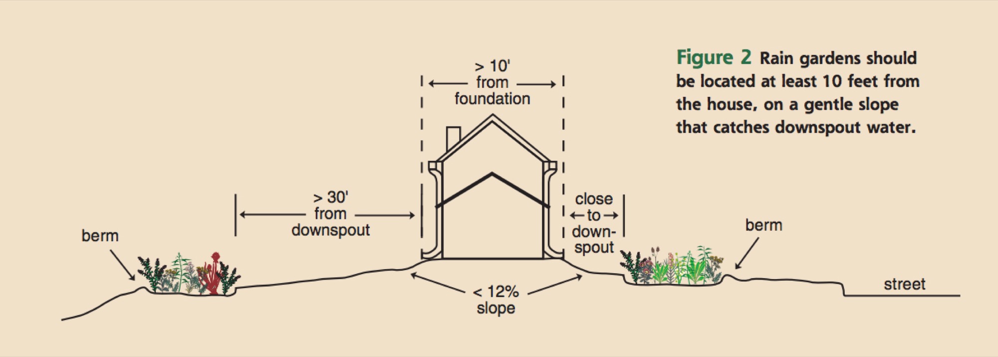 Rain gardens can help cut water use and storm runoff – Brandon Sun