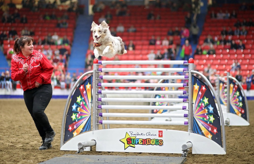 Cold temps likely factor in drop in RMWF visitors: Organizer – Brandon Sun