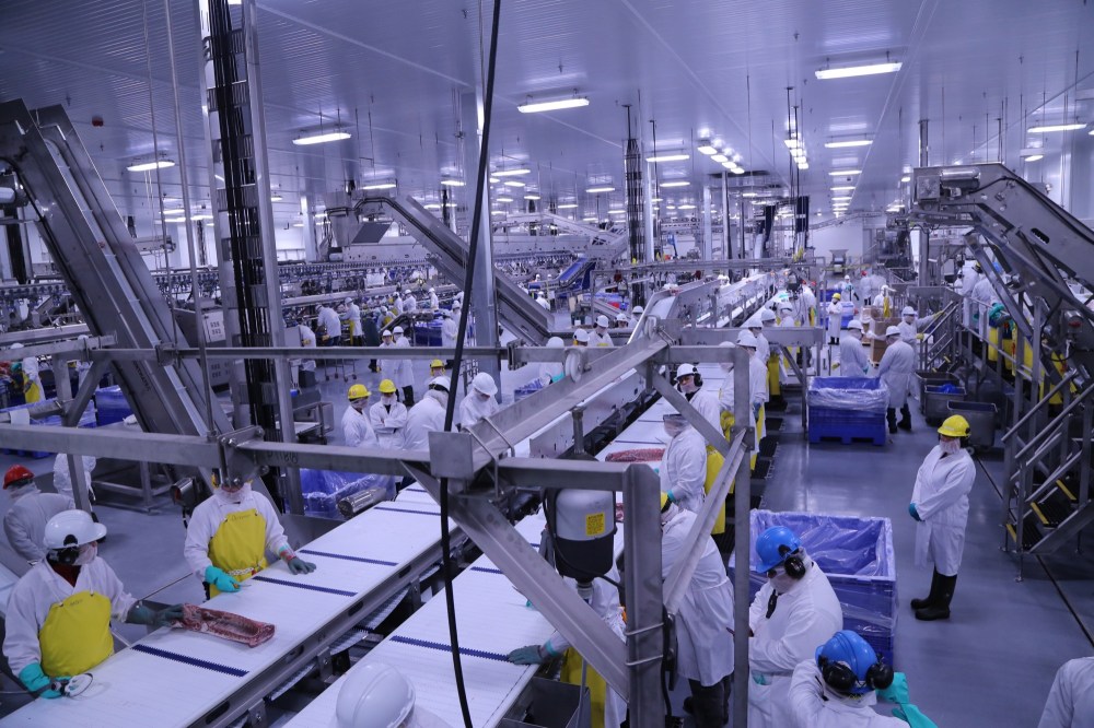 HyLife inks multimillion-dollar deal – Brandon Sun