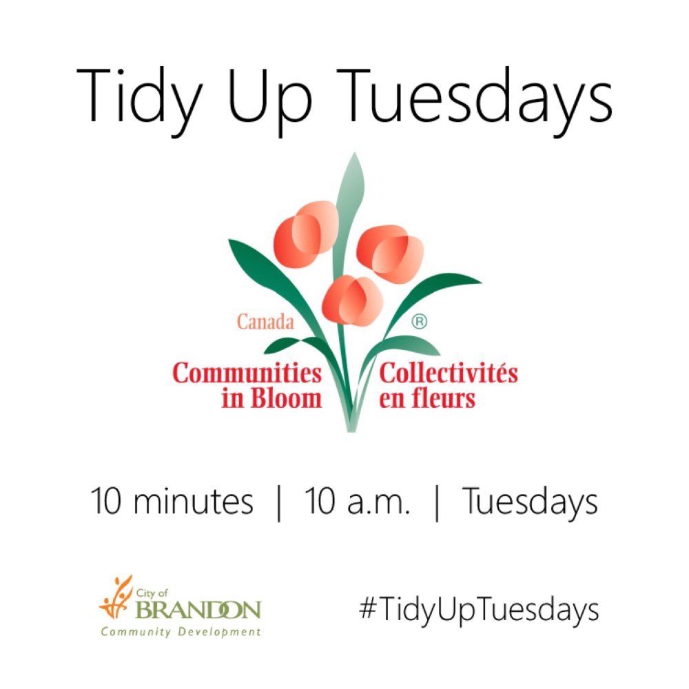 City launching weekly cleanup initiative in May – Brandon Sun