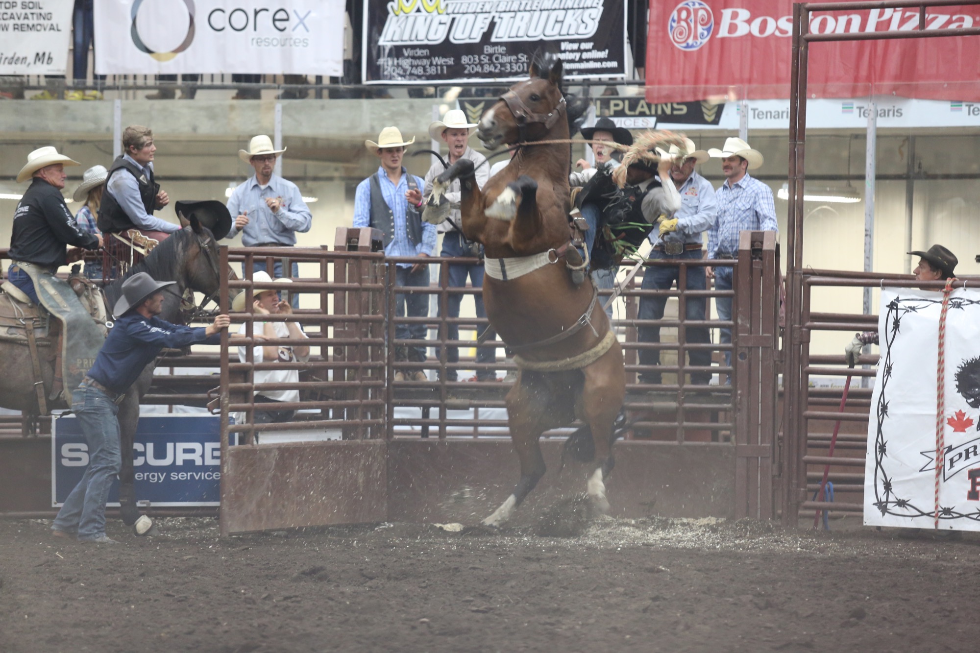 Virden Indoor Rodeo a source of pride – Brandon Sun