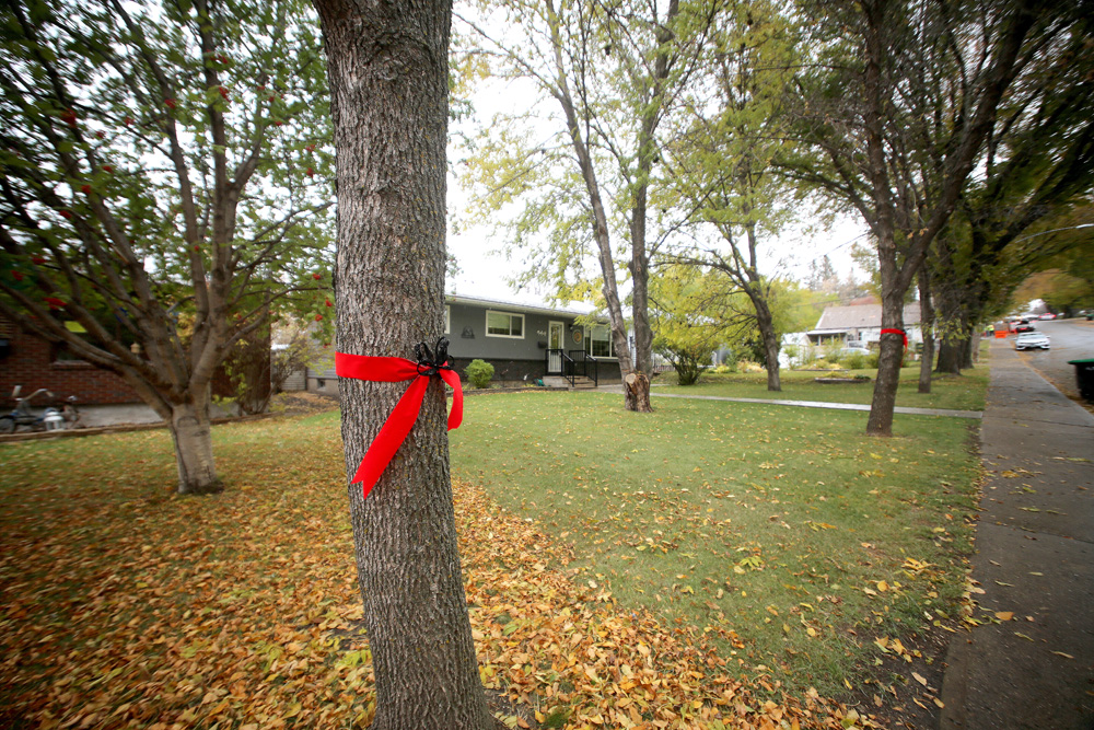 Tara Roe is forever in loved ones’ hearts – Brandon Sun