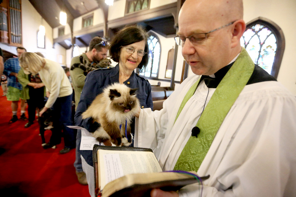 Blessed are the fuzzy friends – Brandon Sun