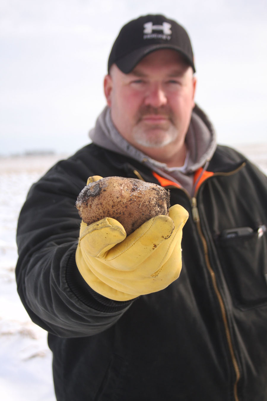 Potato harvest brutal for producers – Brandon Sun