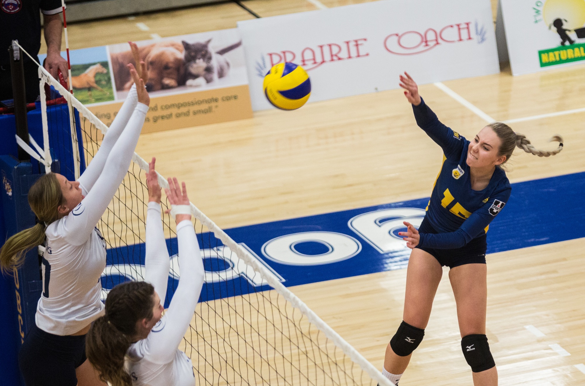 BU bench gets taste of country’s best – Brandon Sun