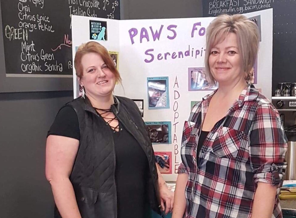 Killarney-area woman starts up animal rescue – Brandon Sun