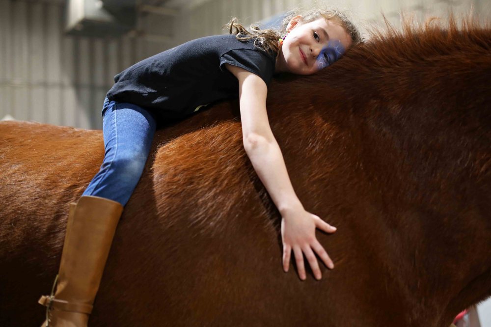 Royal Manitoba Winter Fair to return in March, 2022 – Brandon Sun
